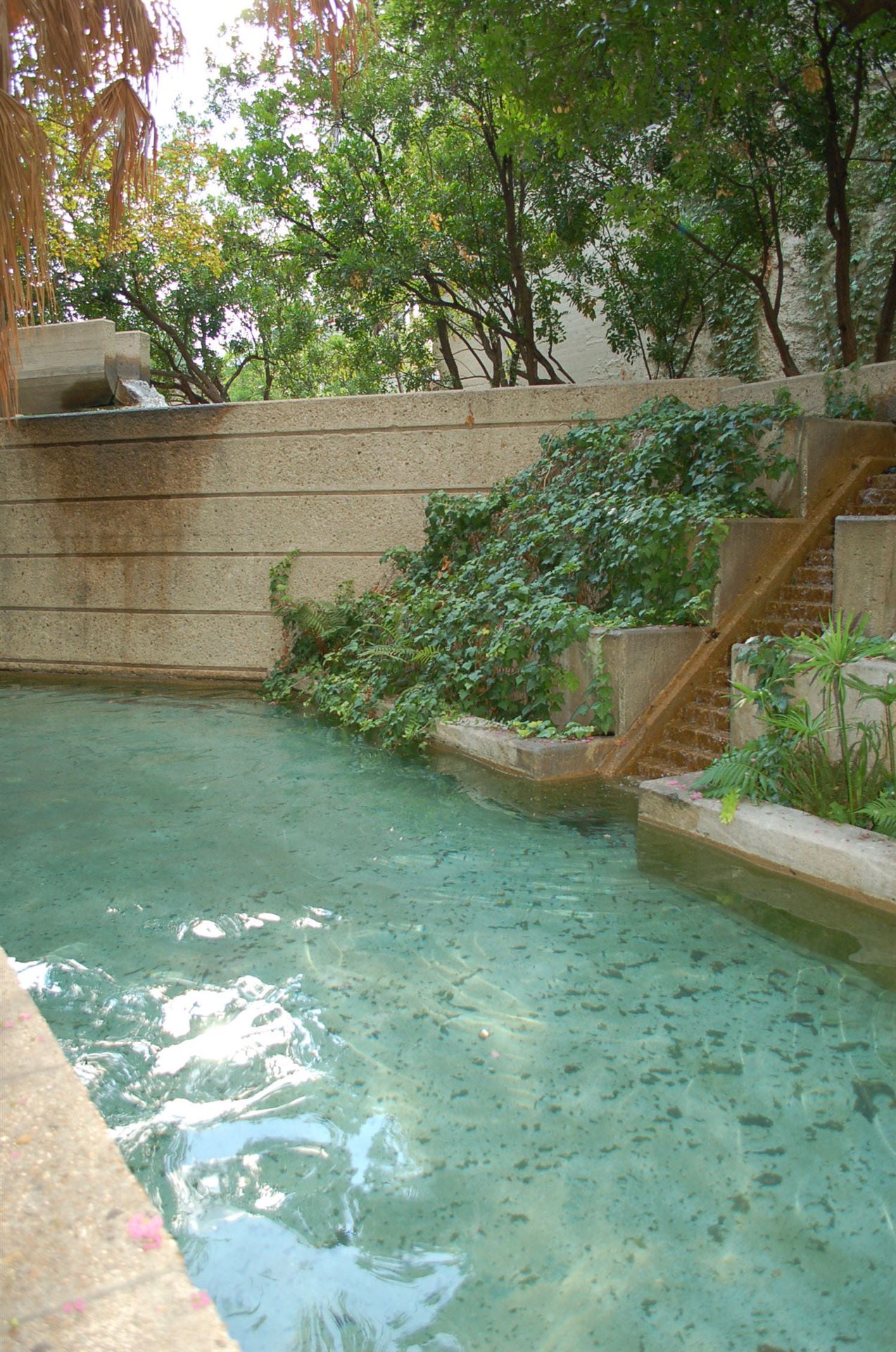 Locations Hub - Paseo del Alamo